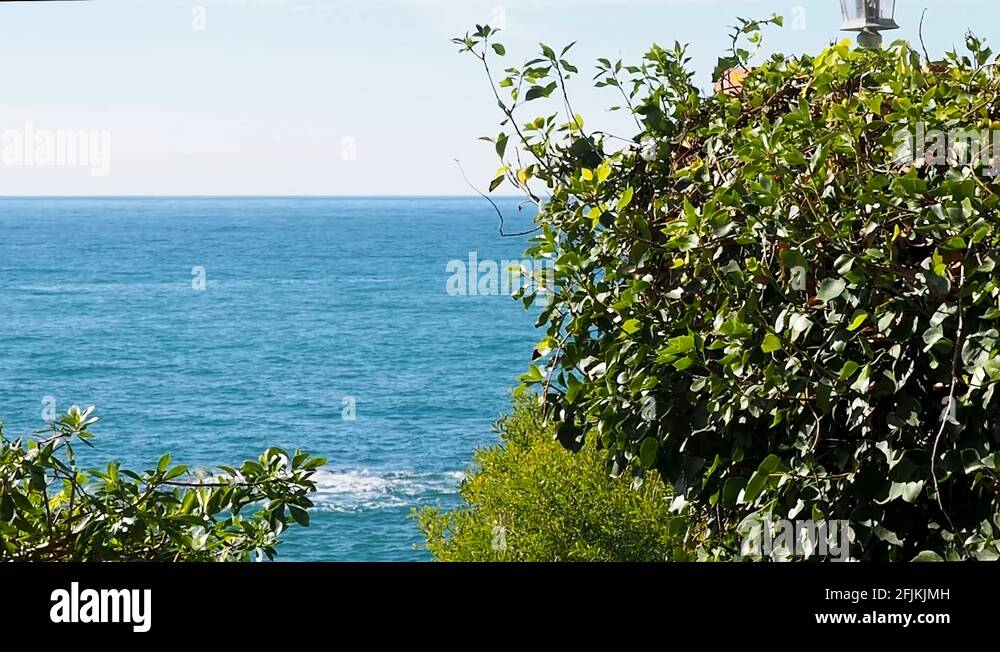 Overview of Isolated, family friendly cove in Laguna Beach, Orange ...