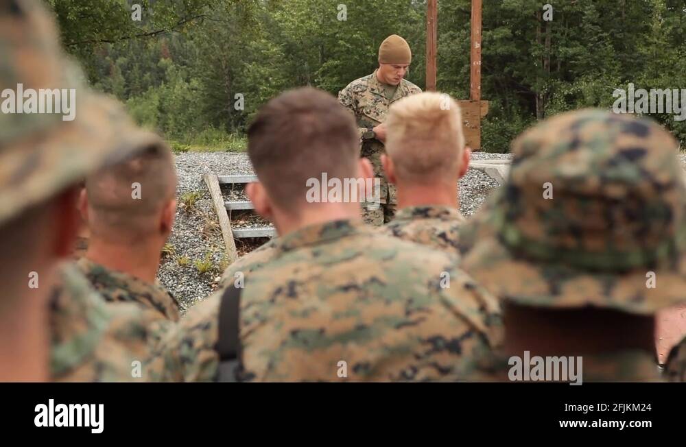 Rifle squad competition Stock Videos & Footage - HD and 4K Video Clips ...