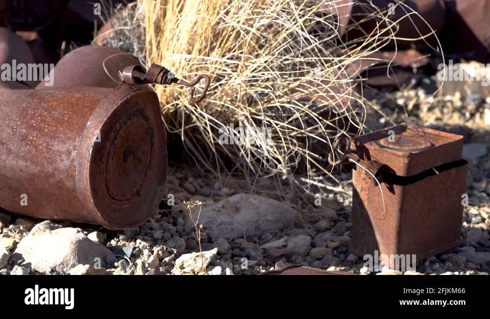 Two old rusty food cans left near an old California gold mine (Eureka ...