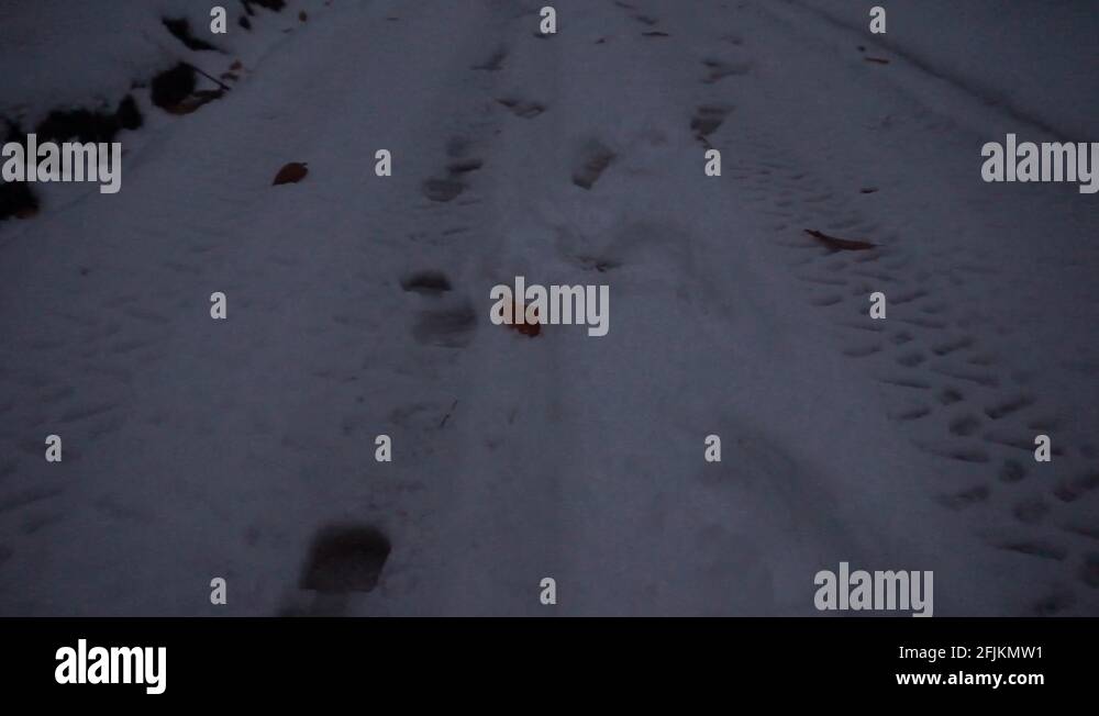 Scary footprint Stock Videos & Footage - HD and 4K Video Clips - Alamy