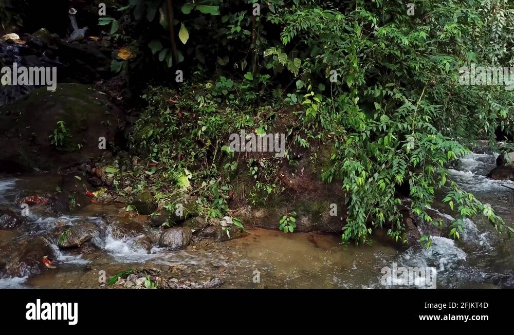 Fresh water streams Stock Videos & Footage - HD and 4K Video Clips - Alamy