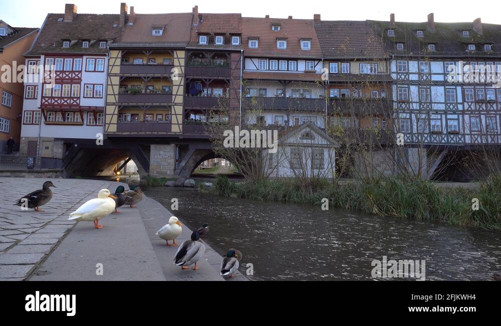 Gera river Stock Videos & Footage - HD and 4K Video Clips - Alamy