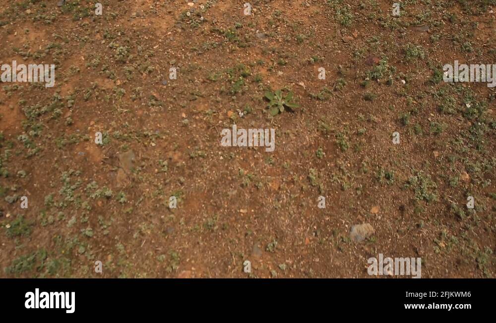 Open sky mine Stock Videos & Footage - HD and 4K Video Clips - Alamy