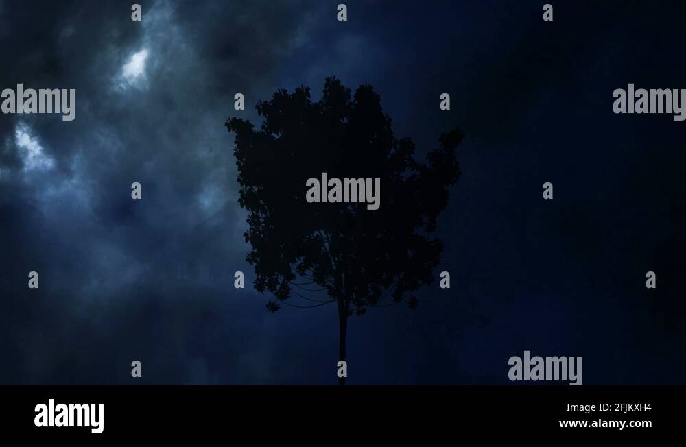 Night glow tree Stock Videos & Footage - HD and 4K Video Clips - Alamy