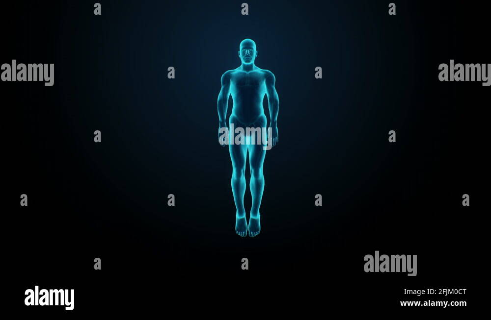 The human skeletal system Stock Videos & Footage - HD and 4K Video ...