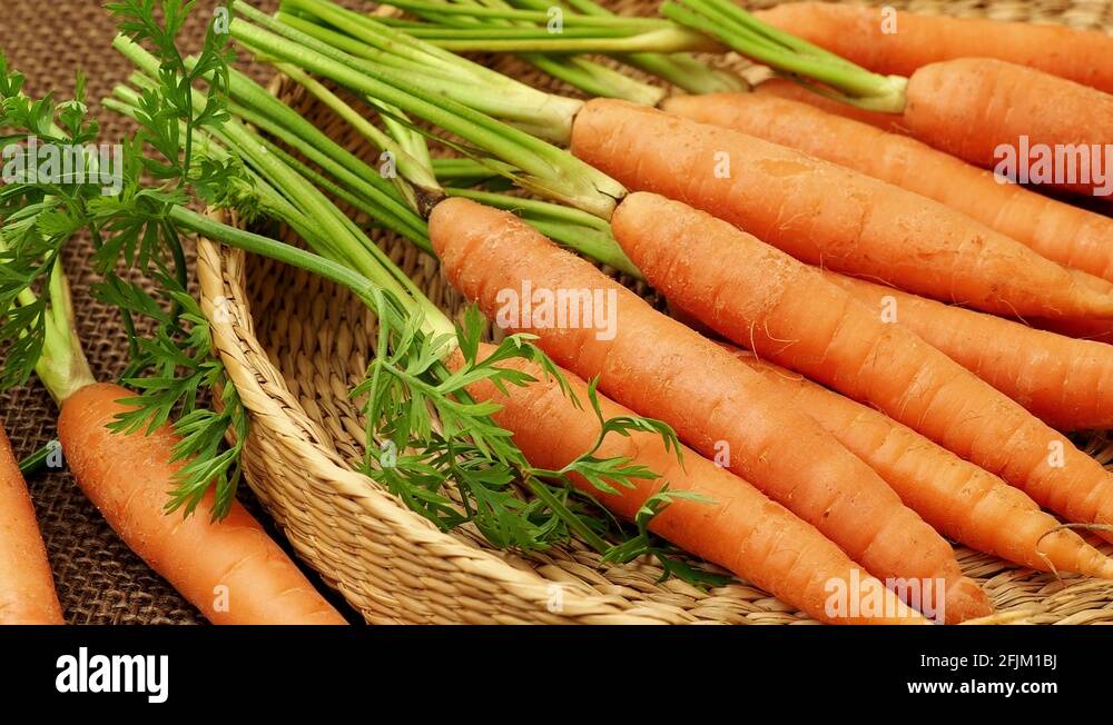 Root vegetable leaves Stock Videos & Footage - HD and 4K Video Clips ...