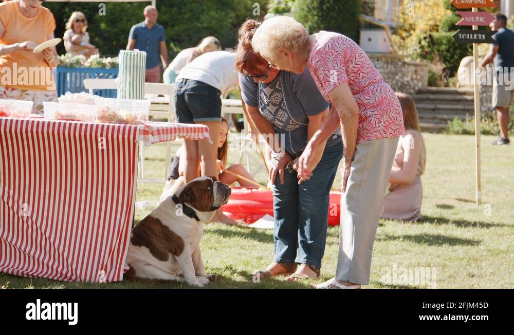 English stall Stock Videos & Footage - HD and 4K Video Clips - Alamy