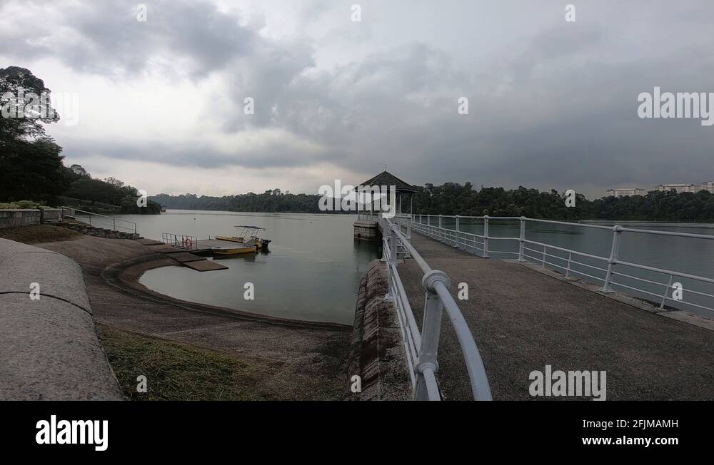 Macritchie reservoir bridge Stock Videos & Footage - HD and 4K Video ...
