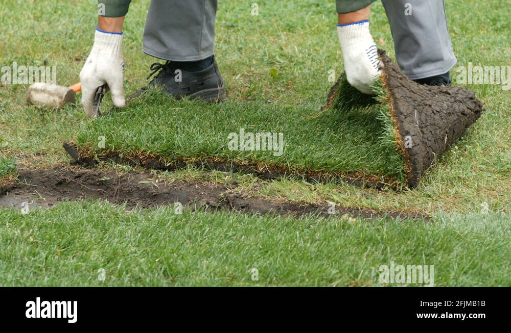Replacing grass Stock Videos & Footage - HD and 4K Video Clips - Alamy