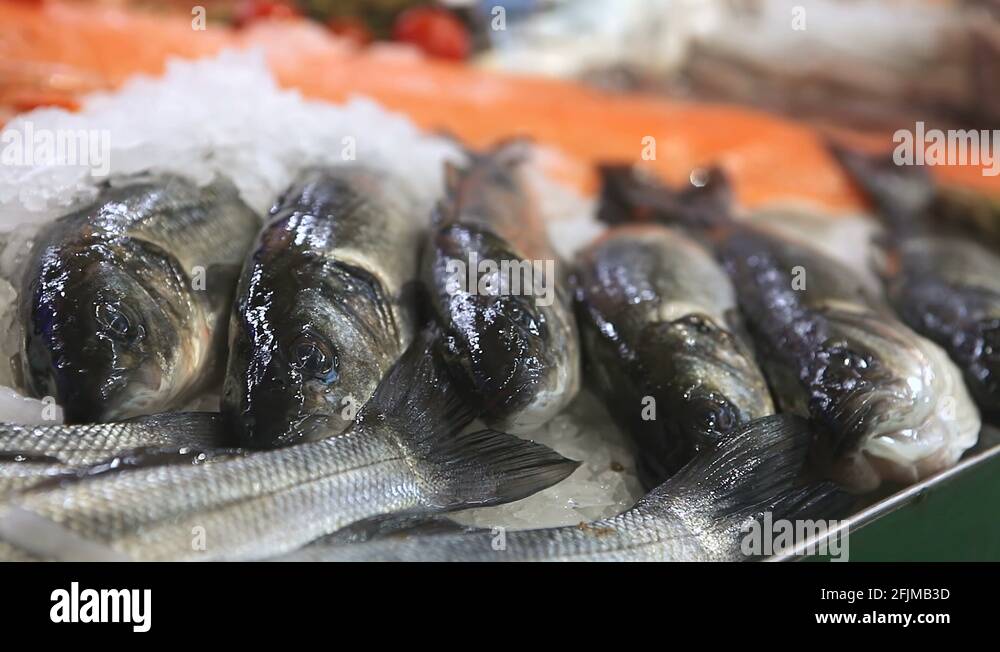 Seafood fish market food Stock Videos & Footage - HD and 4K Video Clips ...