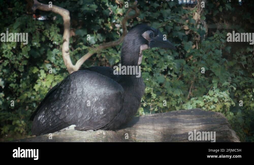 Big copenhagen Stock Videos & Footage - HD and 4K Video Clips - Alamy