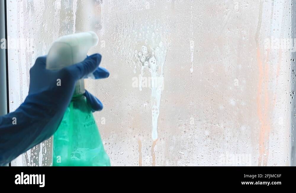 Smiling maid hand duster Stock Videos & Footage - HD and 4K Video Clips ...