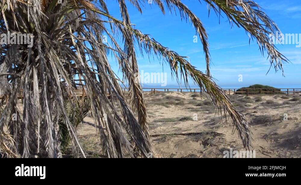Dry island walkway Stock Videos & Footage - HD and 4K Video Clips - Alamy