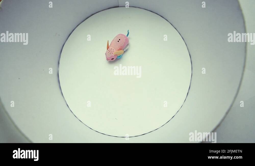 Mouse box Stock Videos & Footage - HD and 4K Video Clips - Alamy