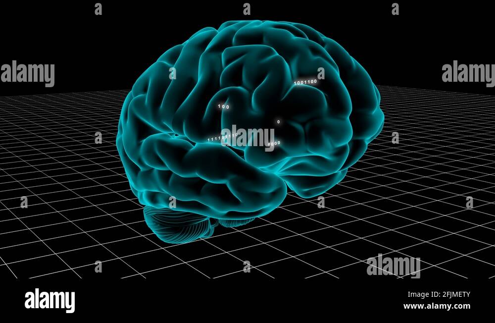 Working brain Stock Videos & Footage - HD and 4K Video Clips - Alamy