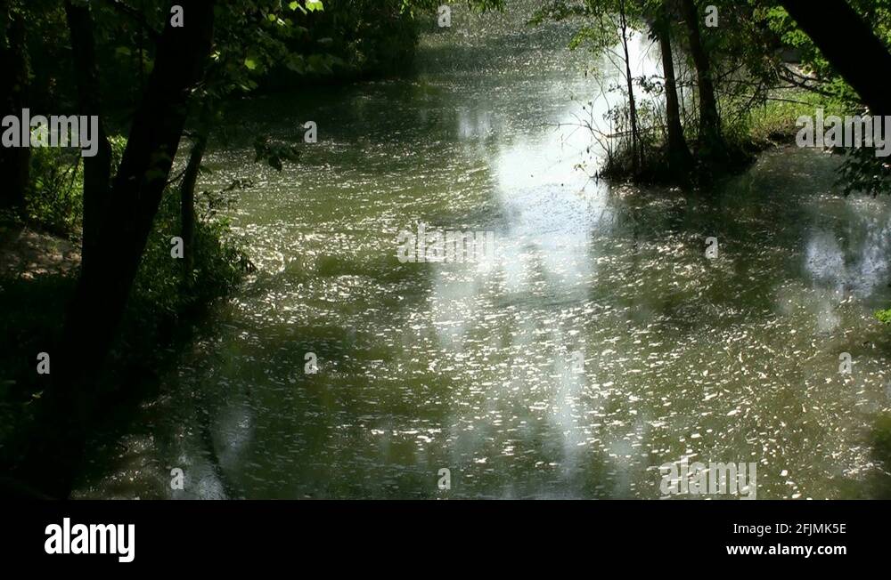 Murky water Stock Videos & Footage - HD and 4K Video Clips - Alamy