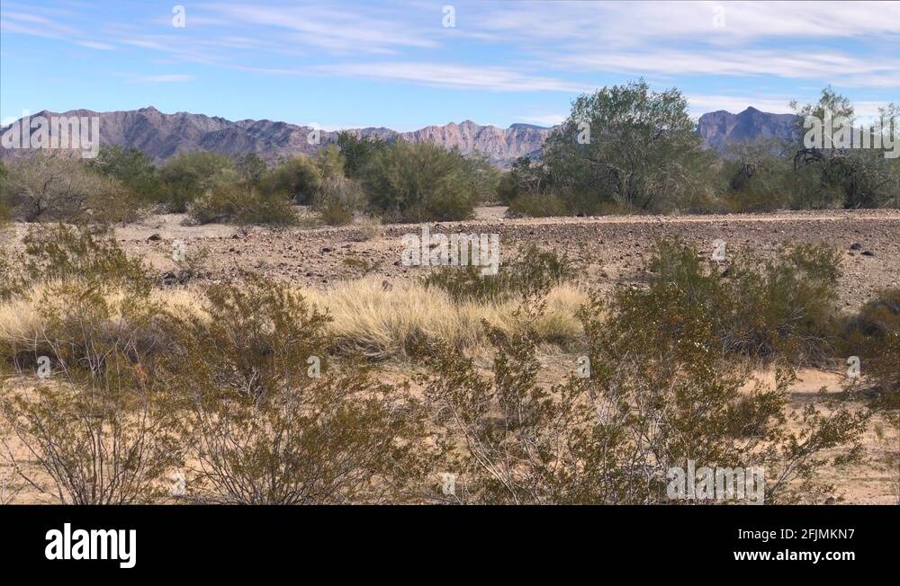 Desert southwest landscape Stock Videos & Footage - HD and 4K Video ...