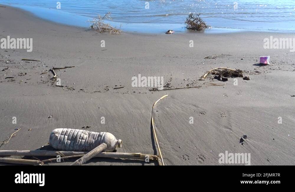 a Plastic bottle on a beach, showing the extend of plastic pollution on ...