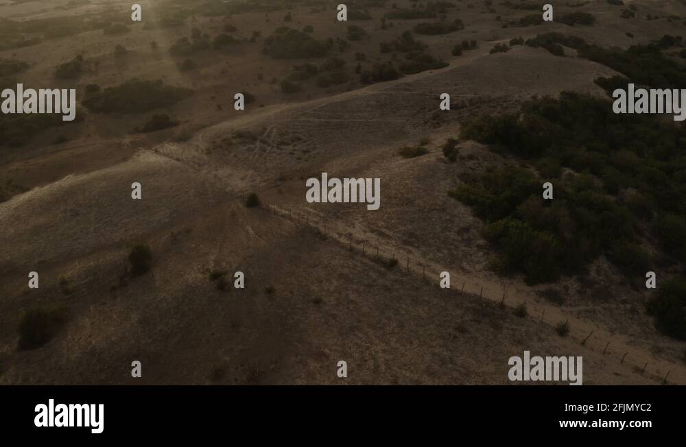 Brazilian caatinga Stock Videos & Footage - HD and 4K Video Clips - Alamy