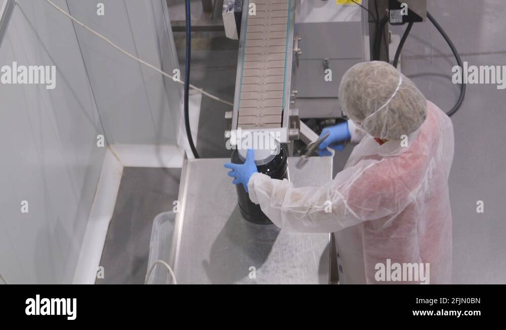 Efficient worker female Stock Videos & Footage - HD and 4K Video Clips ...