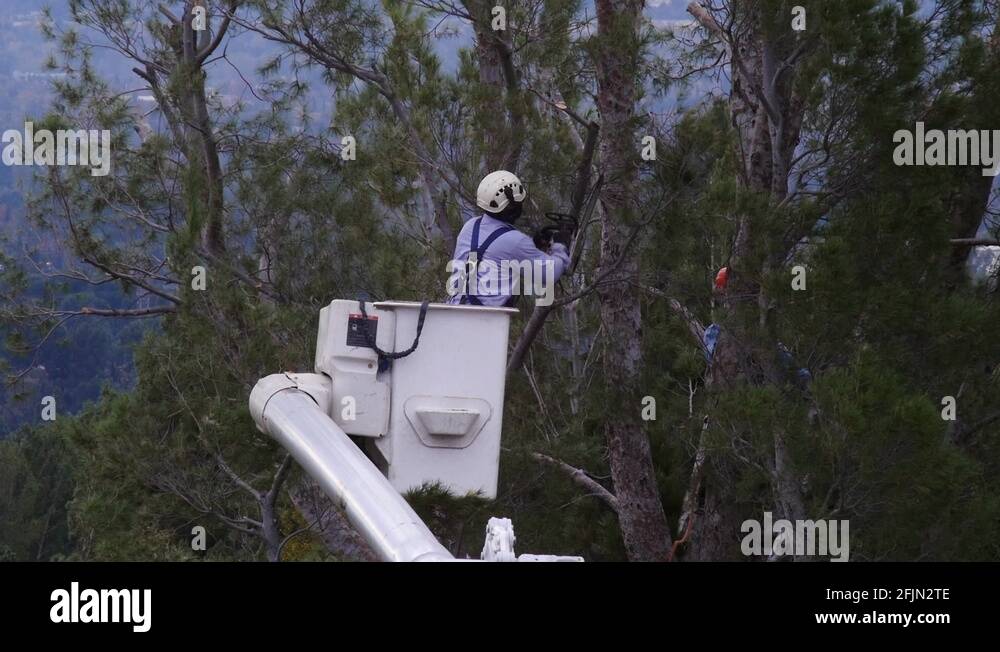 Crane basket Stock Videos & Footage - HD and 4K Video Clips - Alamy