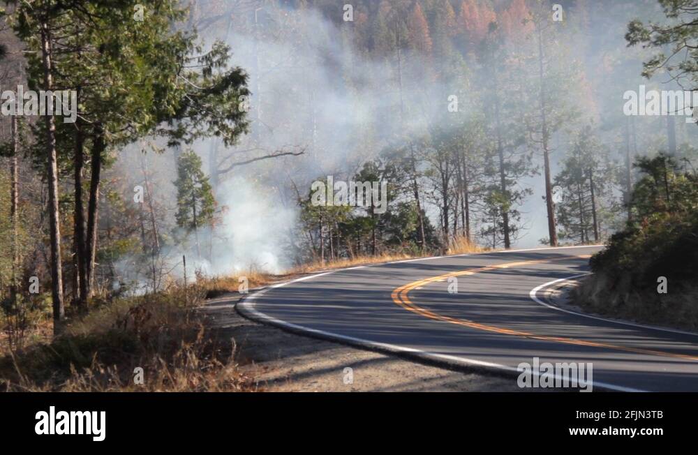 Fire burning side of road Stock Videos & Footage - HD and 4K Video ...