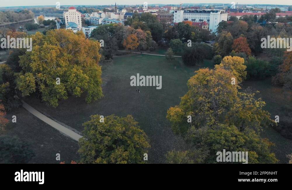 Trees Look Like People Stock Videos And Footage Hd And 4k Video Clips Alamy