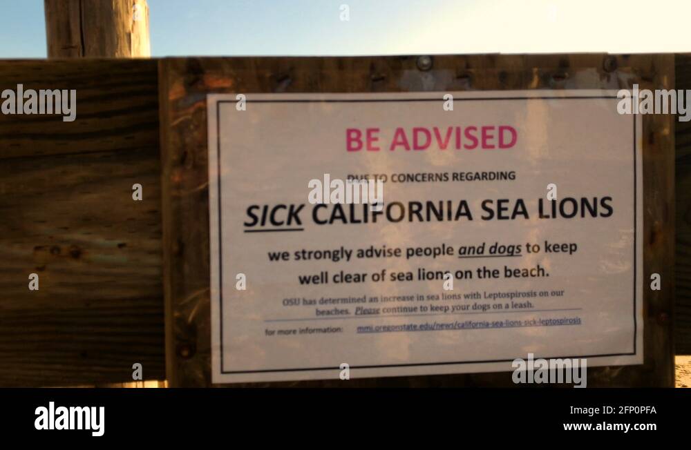 Beach rules and regulations sign Stock Videos & Footage - HD and 4K ...