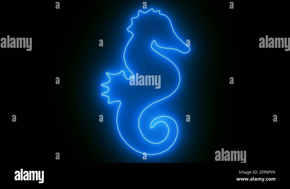 Neon glowing seahorse that changes colors with a black background Stock ...