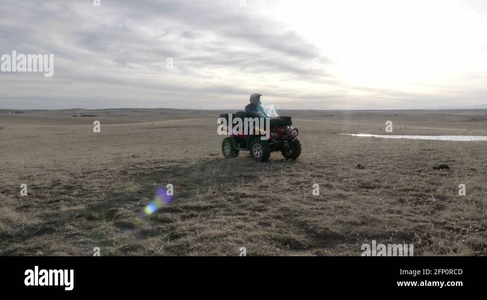 Sky sports screen Stock Videos & Footage - HD and 4K Video Clips - Alamy