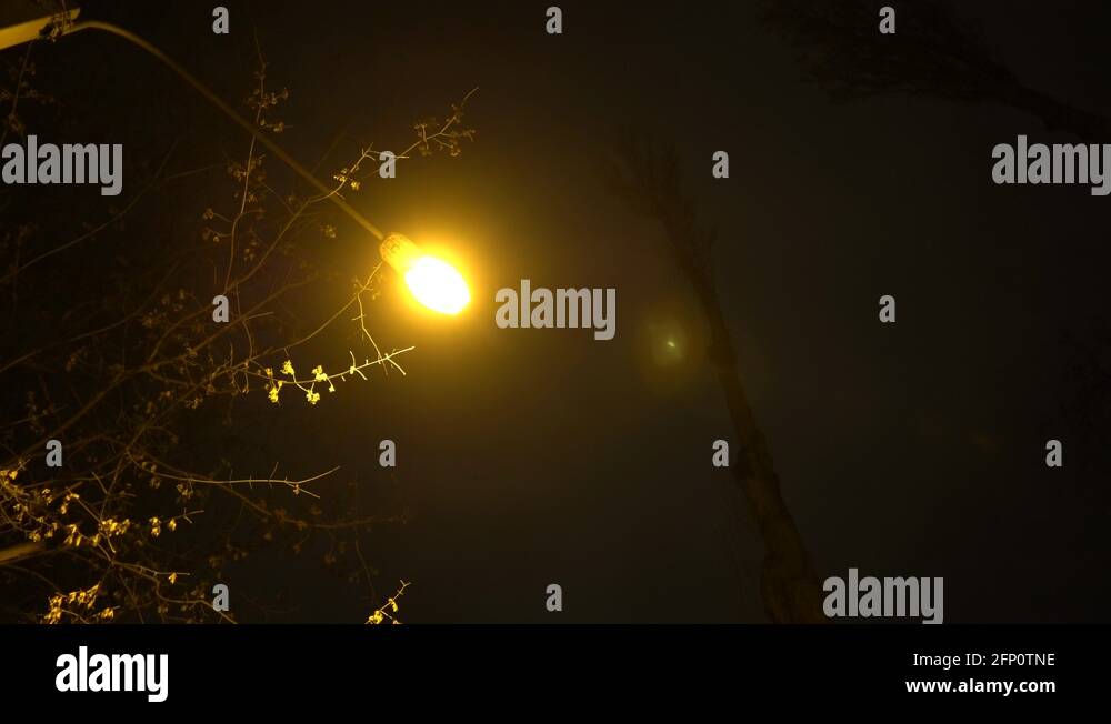 Late dusk light Stock Videos & Footage - HD and 4K Video Clips - Alamy