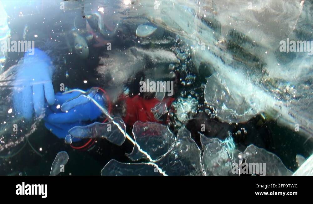 Diving sports Stock Videos & Footage - HD and 4K Video Clips - Alamy