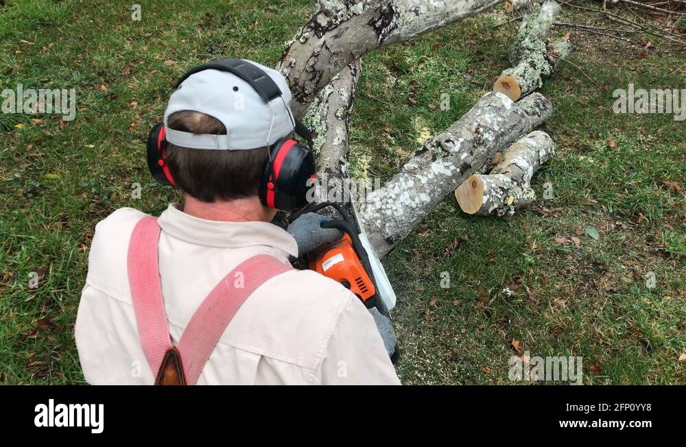 Stihl saw Stock Videos & Footage - HD and 4K Video Clips - Alamy