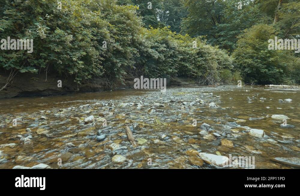 Stream running through rocks Stock Videos & Footage - HD and 4K Video ...