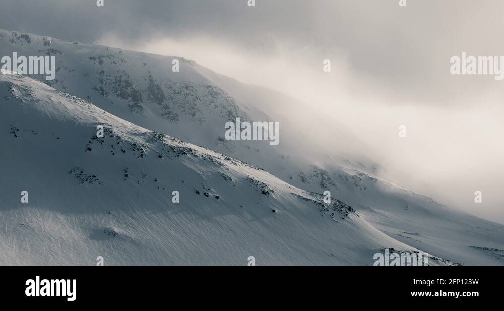 Alpine Snow Storm causing a dangerous complete white whiteout ...
