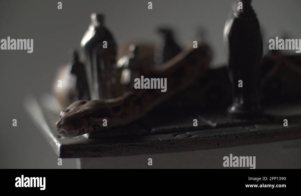 Snake figures Stock Videos & Footage - HD and 4K Video Clips - Alamy