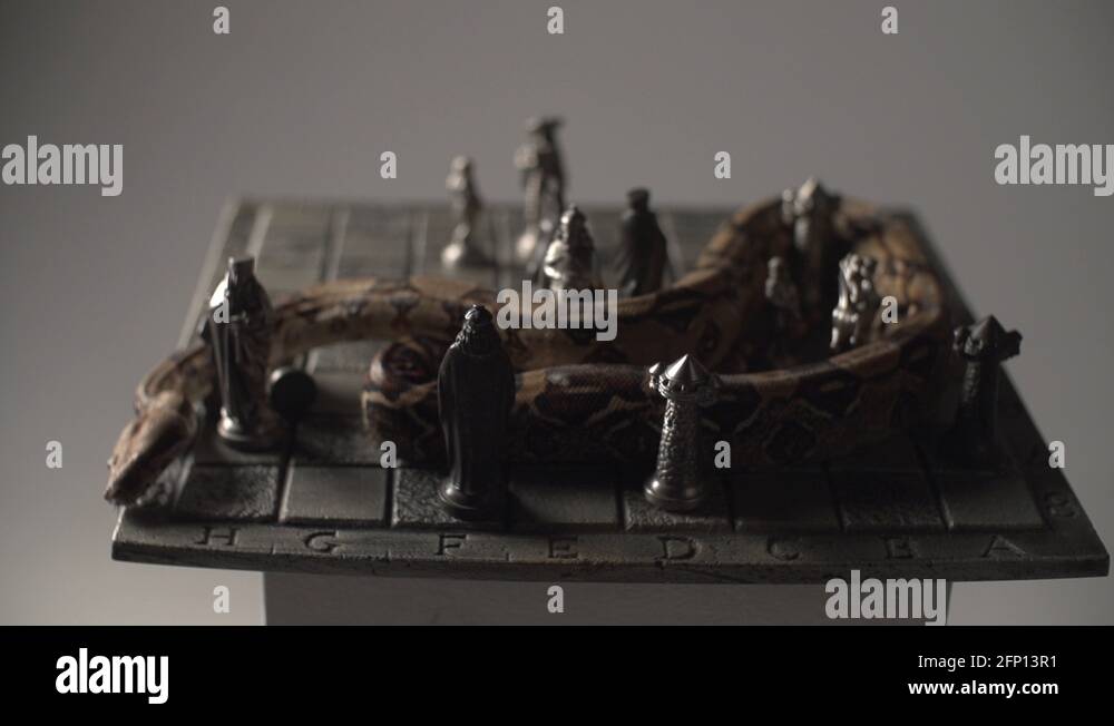 Snake on vintage chess board made of iron. Studio white background in ...