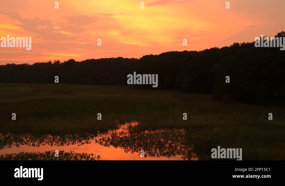 Orange sun shades Stock Videos & Footage - HD and 4K Video Clips - Alamy