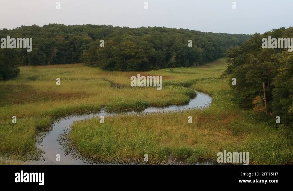 Land of snakes Stock Videos & Footage - HD and 4K Video Clips - Alamy