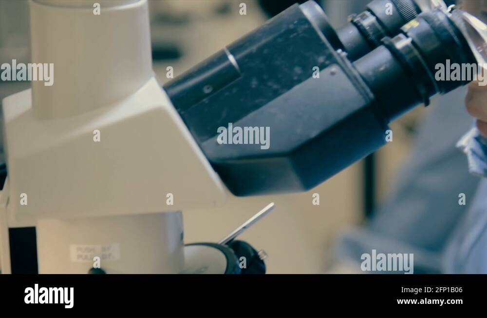 Rare footage from inside of a specialized cleanroom Laboratory where ...
