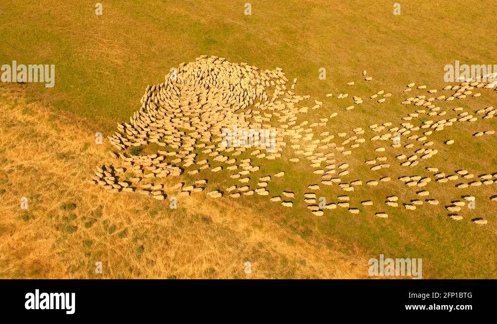 Mallee country Stock Videos & Footage - HD and 4K Video Clips - Alamy