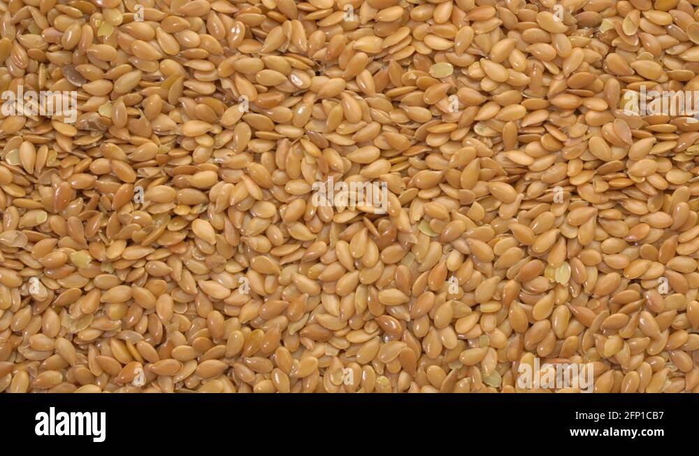 Flax background Stock Videos & Footage - HD and 4K Video Clips - Alamy