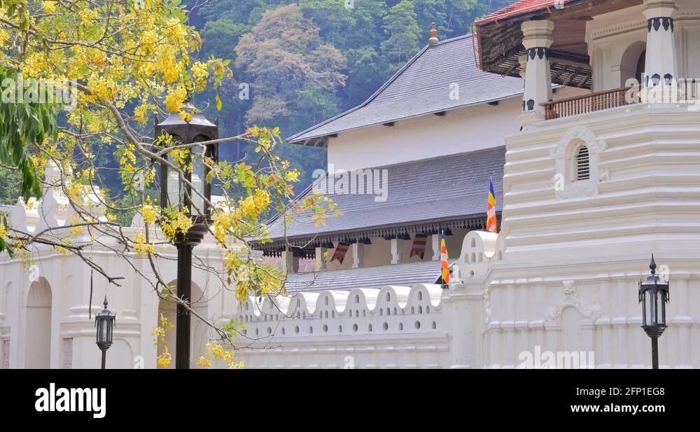 Buddhist temple kandy Stock Videos & Footage - HD and 4K Video Clips ...