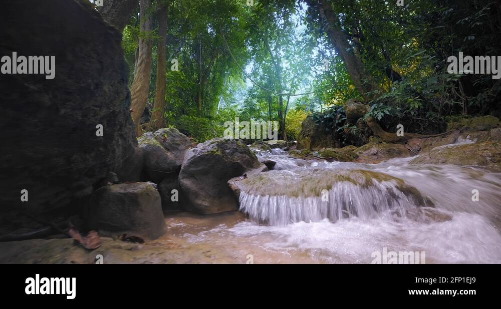 Jungle forest river Stock Videos & Footage - HD and 4K Video Clips - Alamy