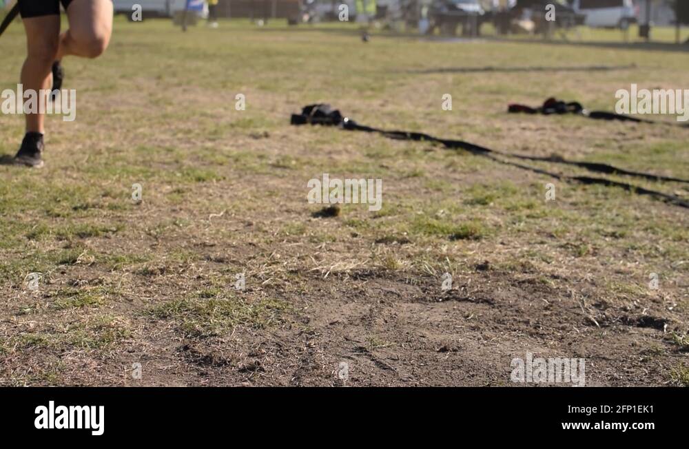 Sled drag Stock Videos & Footage - HD and 4K Video Clips - Alamy