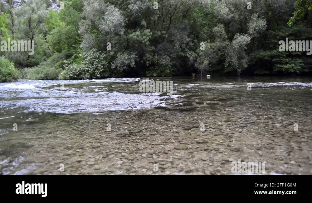 Woods and water Stock Videos & Footage - HD and 4K Video Clips - Alamy