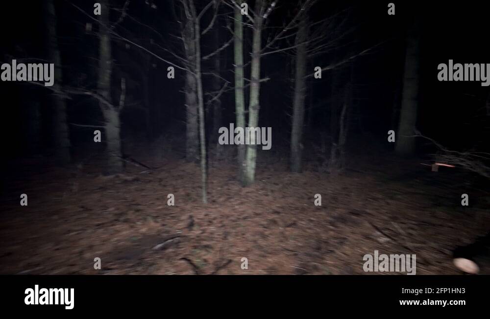 Spooked look Stock Videos & Footage - HD and 4K Video Clips - Alamy