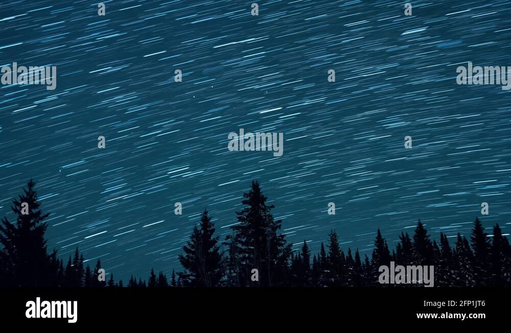 Starry sky in the background of fir trees. Moon rise. Leave traces in ...