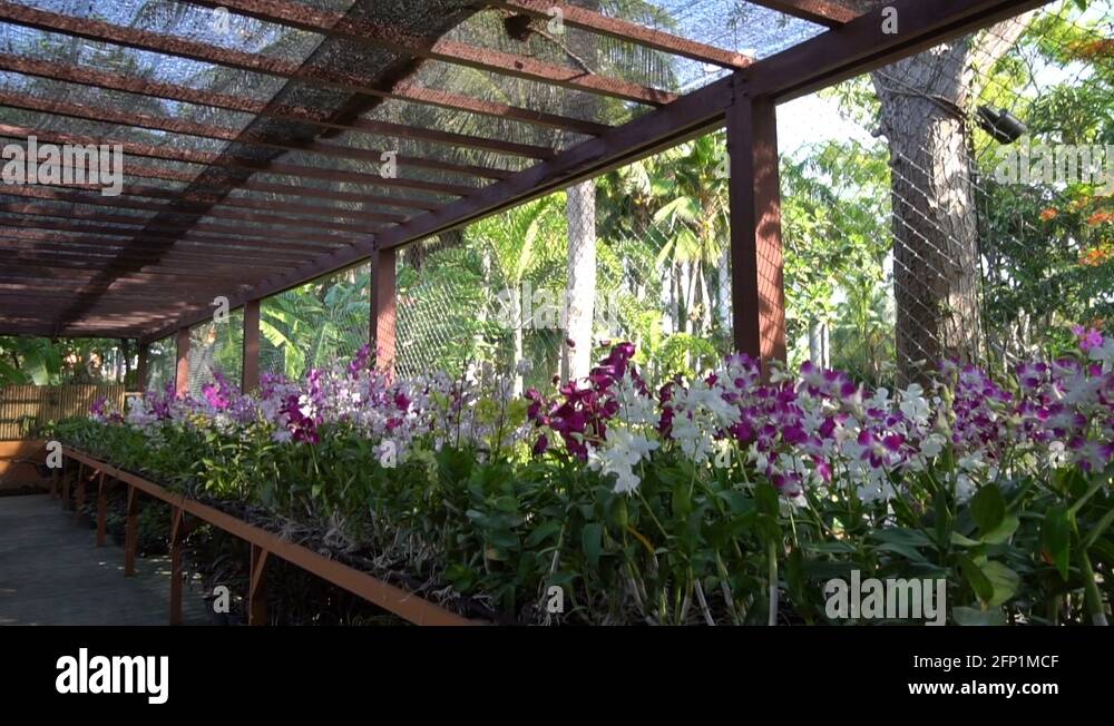 Farming flowers Stock Videos & Footage - HD and 4K Video Clips - Alamy