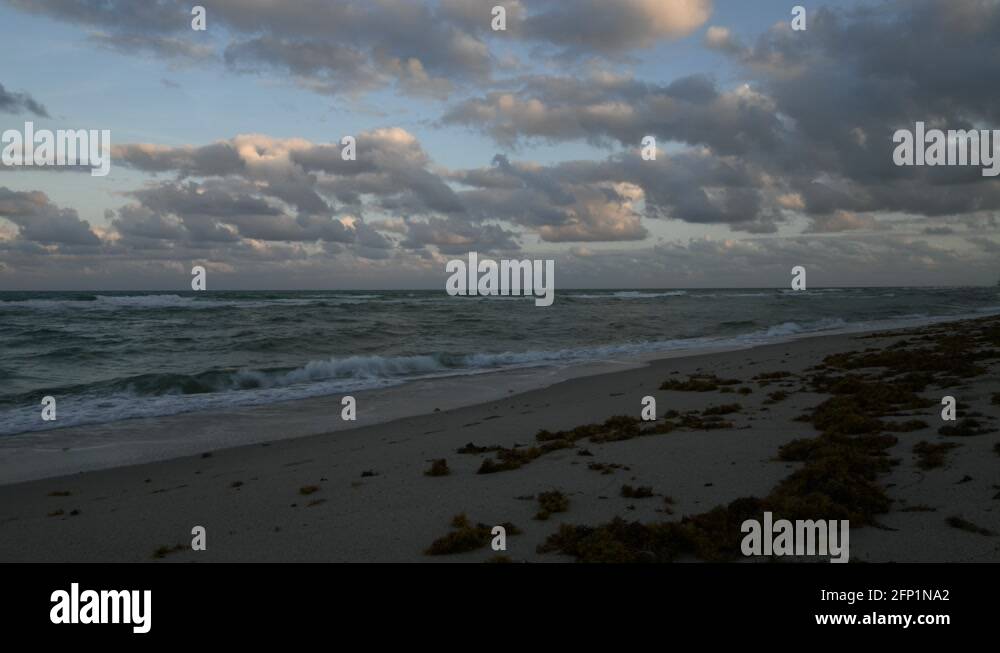 Sunny isle beach Stock Videos & Footage - HD and 4K Video Clips - Alamy
